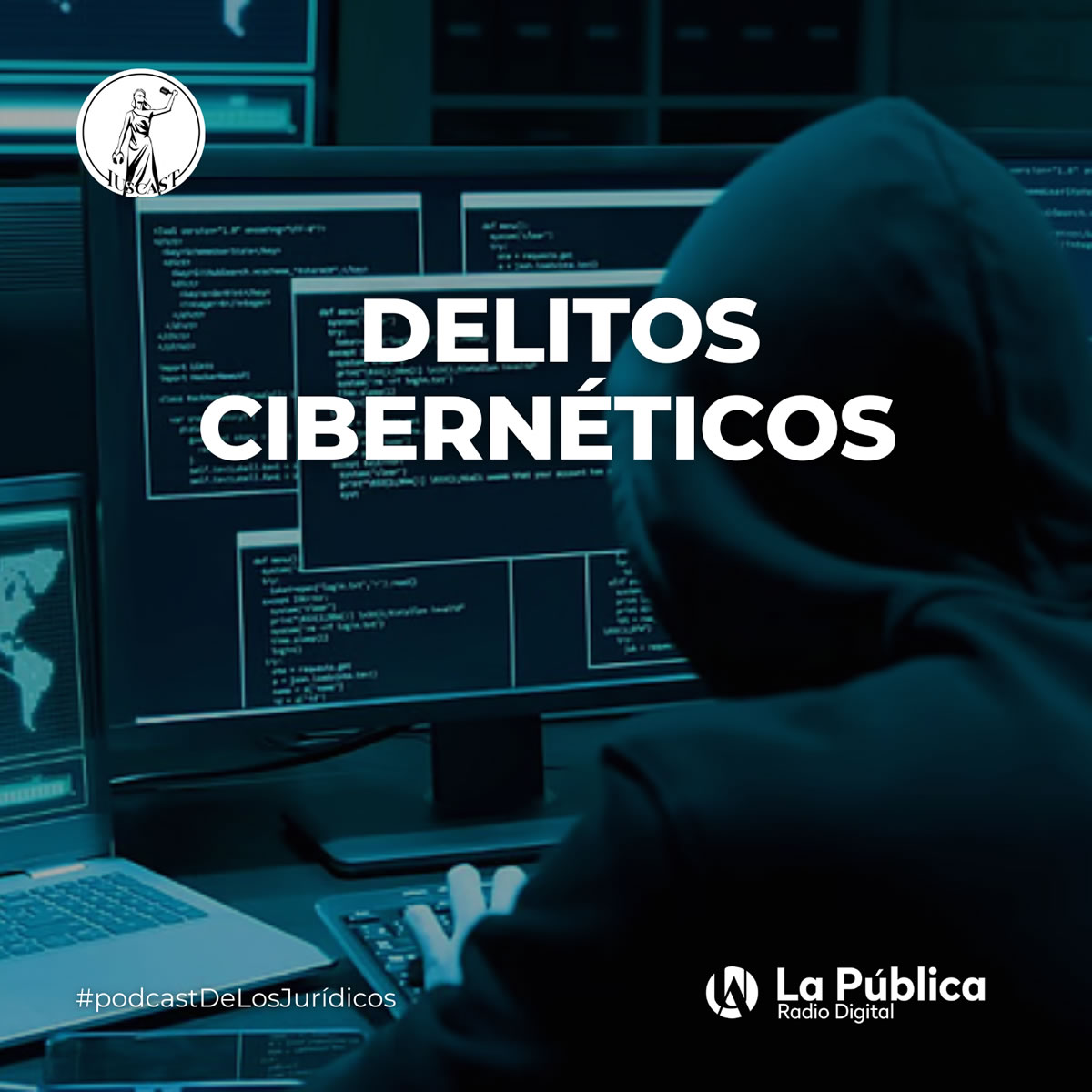 Delitos ciberneticos - La Pública